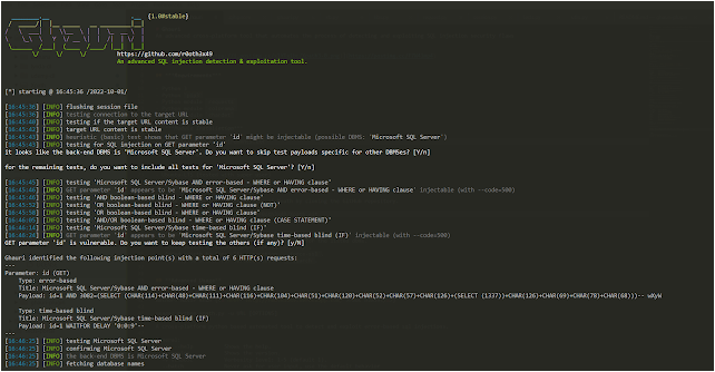 Ghauri An Advanced Cross Platform Tool That Automates The Process Of Detecting And Exploiting